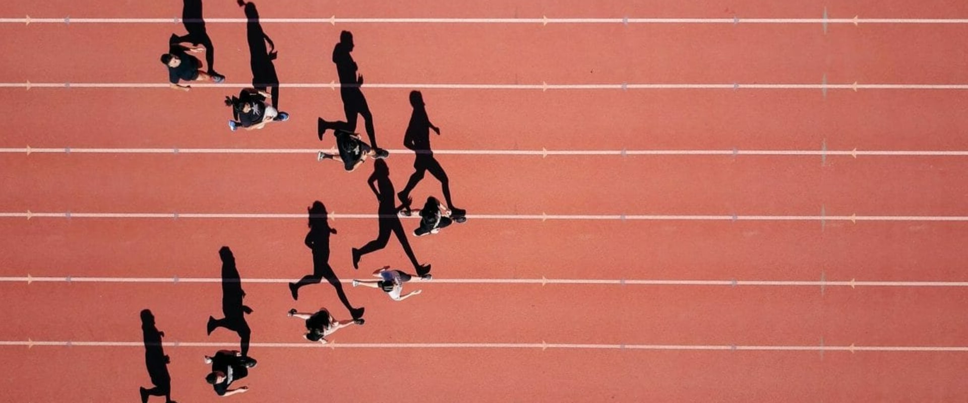 Comparing eLearning Platforms: Moodle vs. Blackboard vs. Canvas vs ...